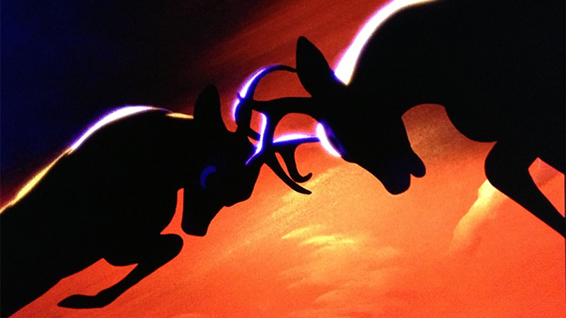 Qnetwork.com - Bambi