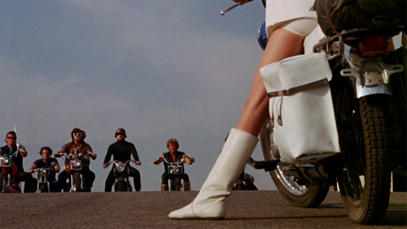 Qnetwork.com - The Born Losers