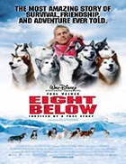 Qnetwork.com - Eight Below