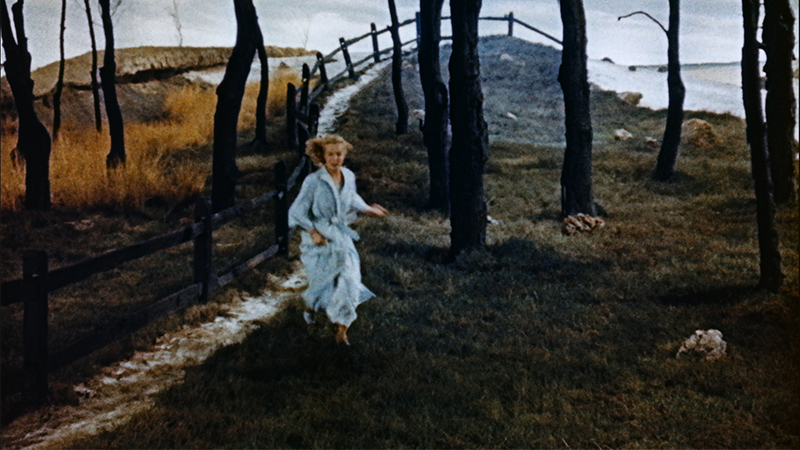 Qnetwork.com - Invaders From Mars (4K UHD)