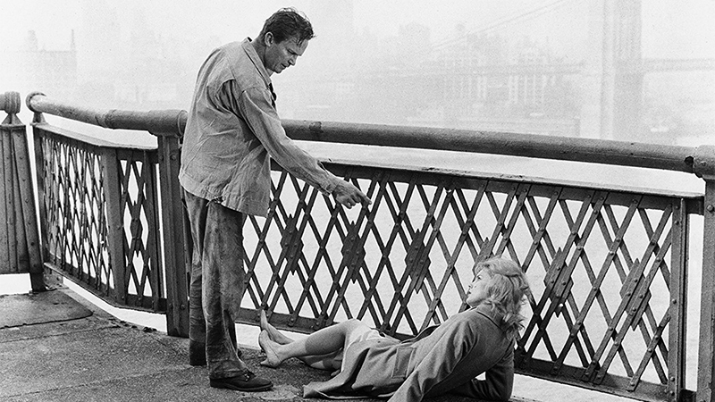 Baltimore Star | Breaking Baltimore News Service