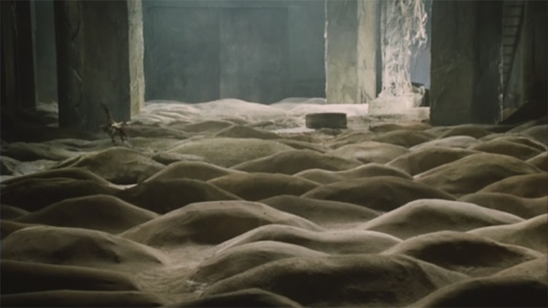 Qnetwork.com - Stalker